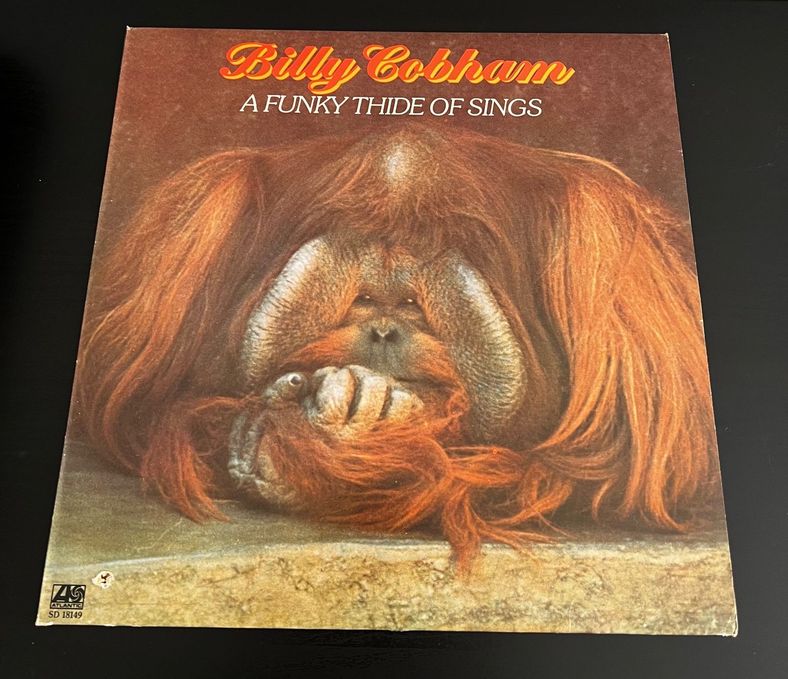 Billy Cobham - A funky thide of sings,Vinyl,1975 (Gebraucht) in Vacallo ...