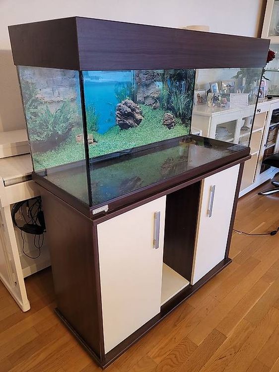 Aquarium 180 Liter mit Möbel (Gebraucht) in Renens VD für CHF 145 – nur ...