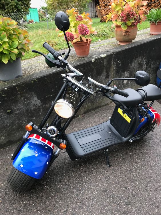 Electric Scooter City Koko | Item Number: ES8004 EEC (Neu (gemäss ...