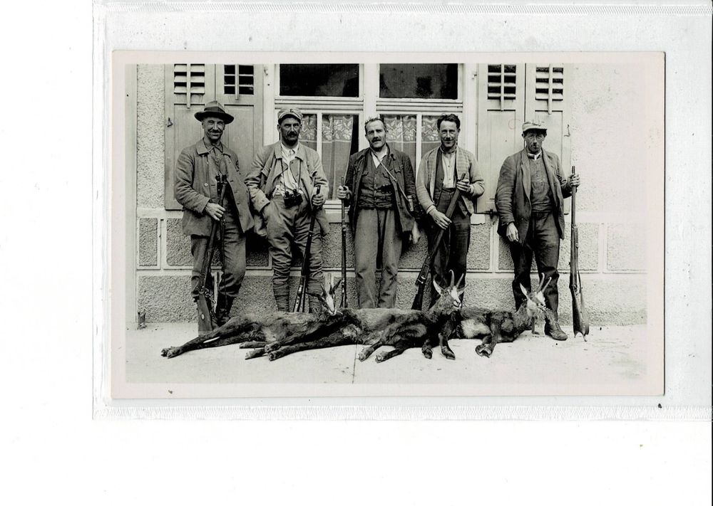 GEMS-JAGD auf den Alpen ca 1910! | Kaufen auf Ricardo