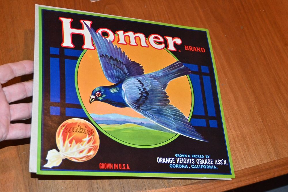 HOMER brand CALIFORNIA Orangen ETIKETT | Kaufen auf Ricardo