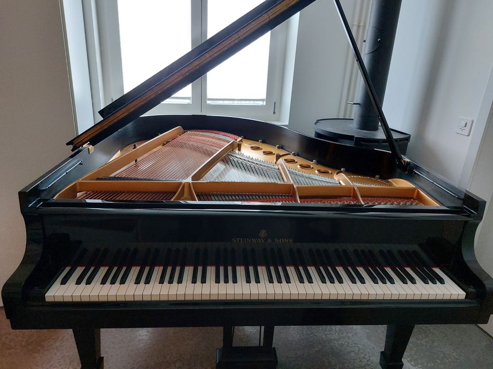 Flügel - S - 155 von Steinway & Sons (Gebraucht) in Winterthur für CHF ...