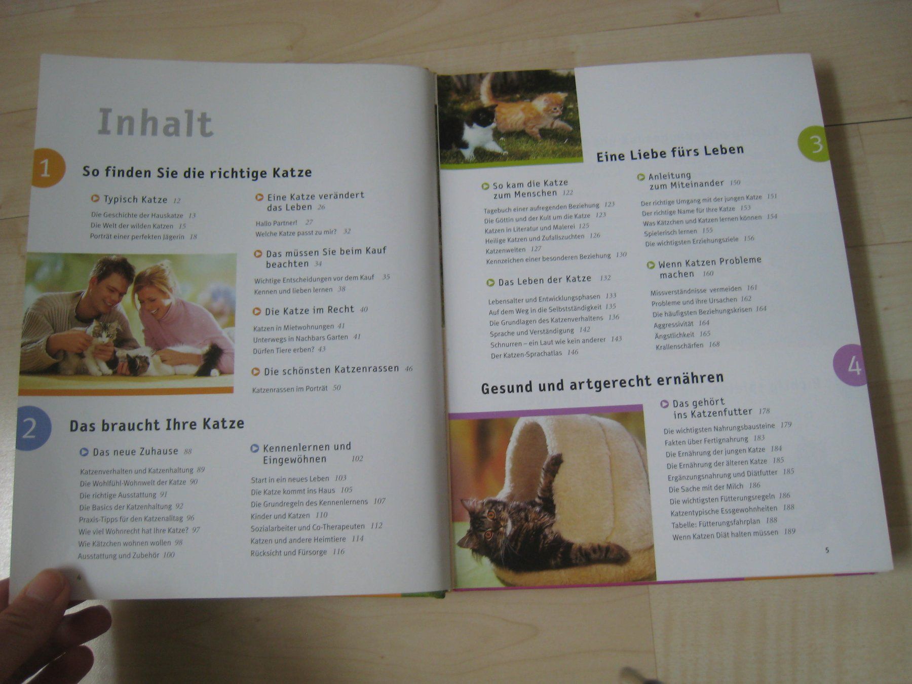 das grosse GU Praxishandbuch Katzen BUCH GU Gerd Ludwig | Kaufen auf ... das grosse GU Praxishandbuch Katzen BUCH GU Gerd Ludwig | Kaufen auf ...