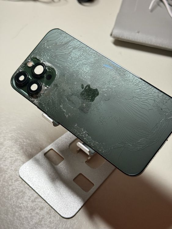iPhone 13 Pro Max Grün Gehäuse | Kaufen auf Ricardo