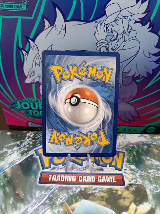 Reshiram EX - Full Art - Pokemon - Mint Condition! 🔥 (52) (Neu (gemäss ...