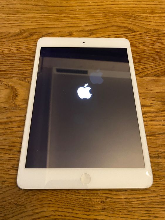 iPad mini (Defekt) | Kaufen auf Ricardo
