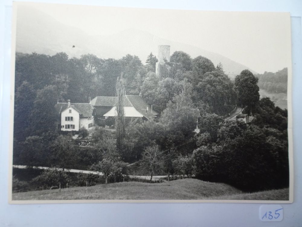 AK Bipp Schloss 1959 (Gebraucht) in Schönenwerd für CHF 5 – mit Lieferung auf Ricardo kaufen