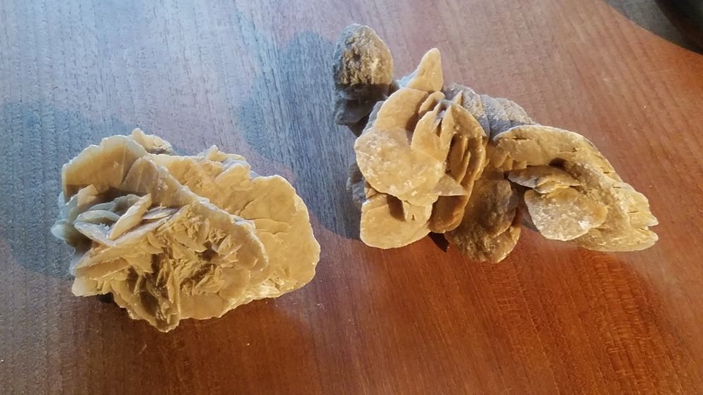 Sandrose Lot zwei Stück 12cm & 18cm | Kaufen auf Ricardo