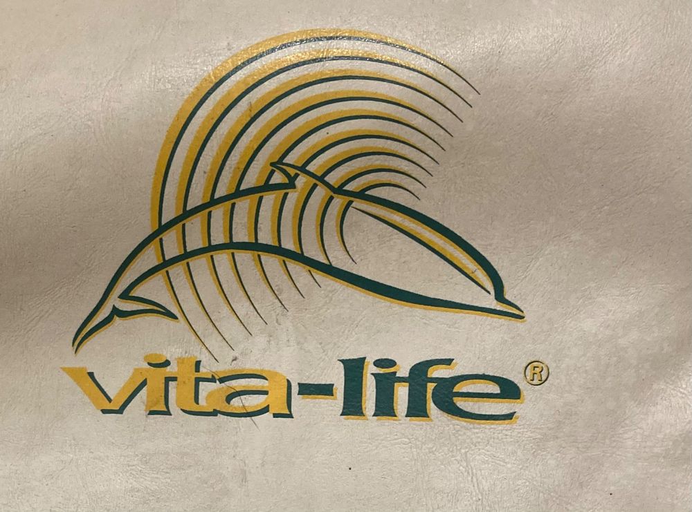 vita-life eMRS - Ganzkörper-Applikator (Matte) occasion | Kaufen auf Ricardo