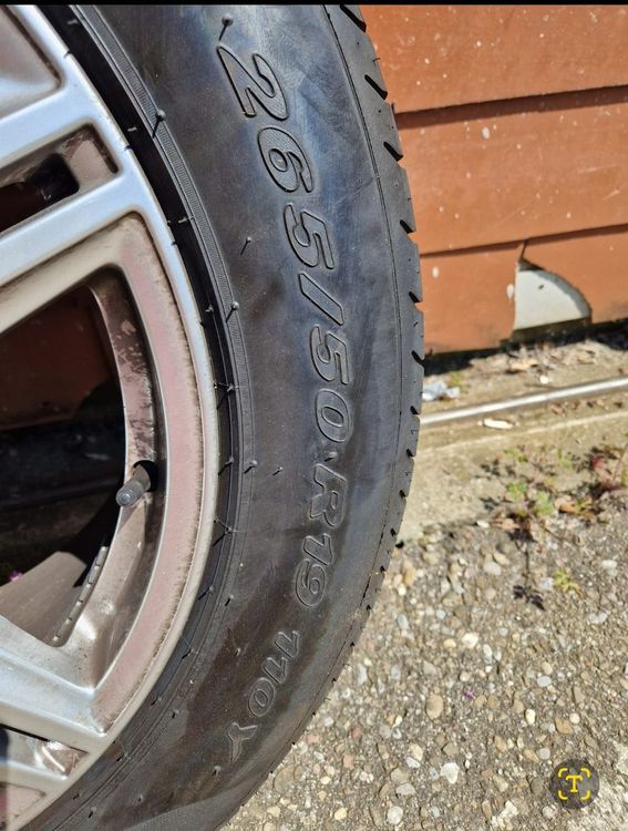 Pirelli Sommerpneu 265/50R19 110Y | Kaufen auf Ricardo