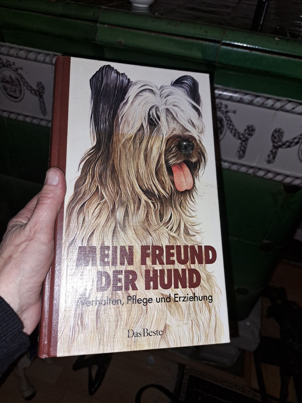Mein Freund der Hund: Wissen über Hunde, Pflege, Vintage (Gebraucht) in ...