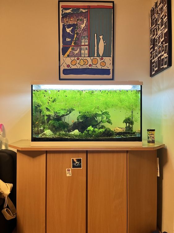 Aquarium 180 Liter (Neu (gemäss Beschreibung)) in Winterthur für CHF ...