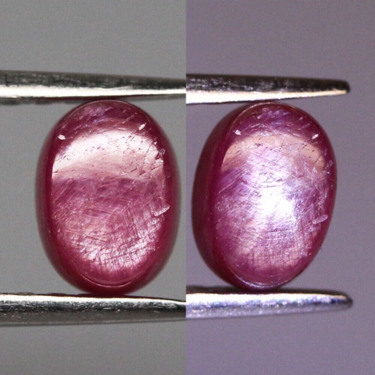 Vrai/echte 1.88ct Star Ruby 6 Rays | Kaufen auf Ricardo