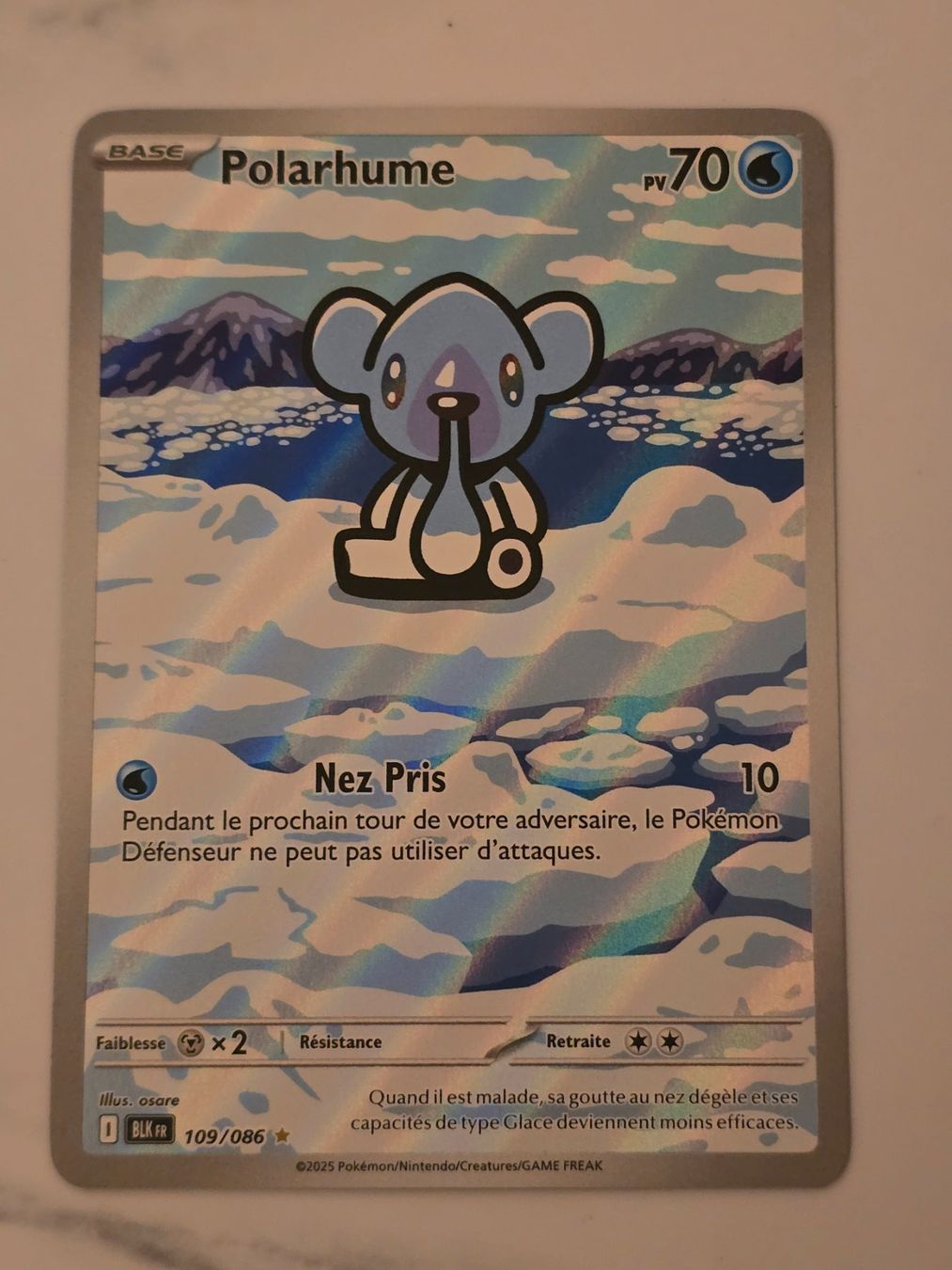 🇲🇫 Pokemon Black Bolt / Foudre Noire 》Polarhume (Neu (gemäss ...