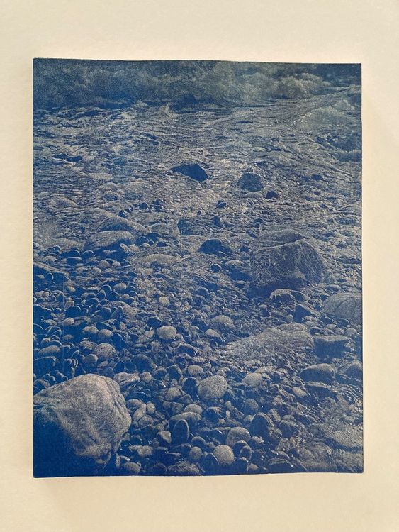 BUCH: Franz Gertsch. Holzschnitte (Gebraucht) in Rain für CHF 29 – mit Lieferung auf Ricardo kaufen