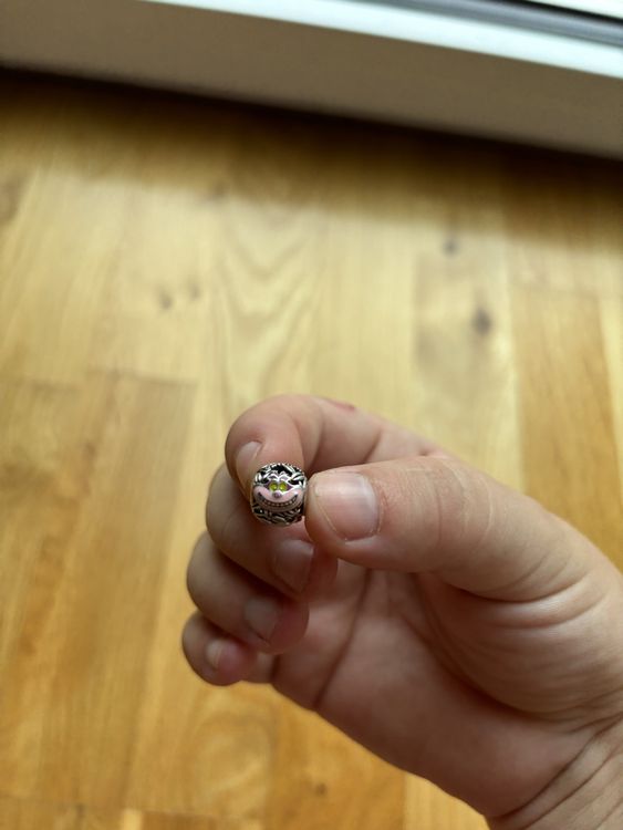 Chester Pandora Charm (Gebraucht) in Kirchleerau für CHF 20 – mit ...