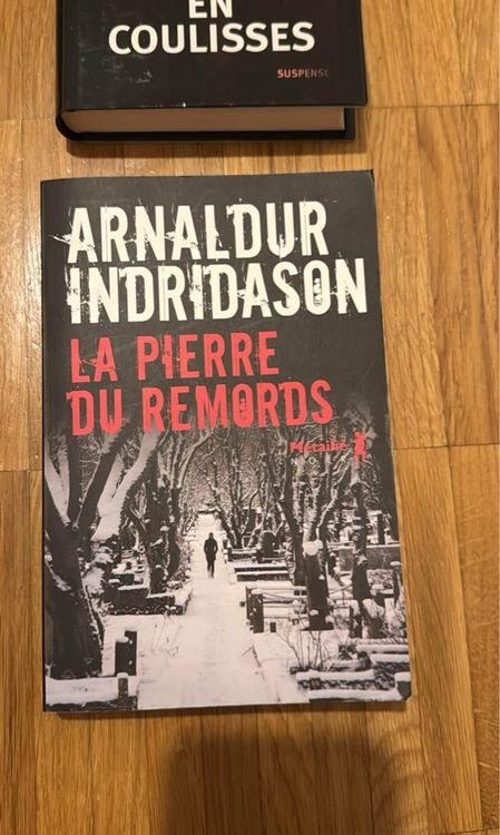 Livre de Arnaldur Indridason « la pierre du remord » (Gebraucht) in ...