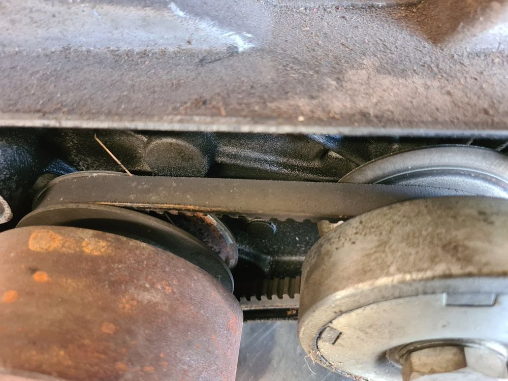 Alpa Morini Motor Variomatic Rar | Kaufen auf Ricardo