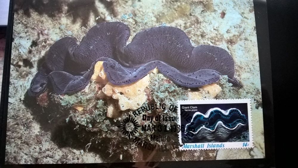 WWF Marschall Inseln 1986 Wirbellose Satz Maximumkarten (Neu (gemäss Beschreibung)) in Liestal ...