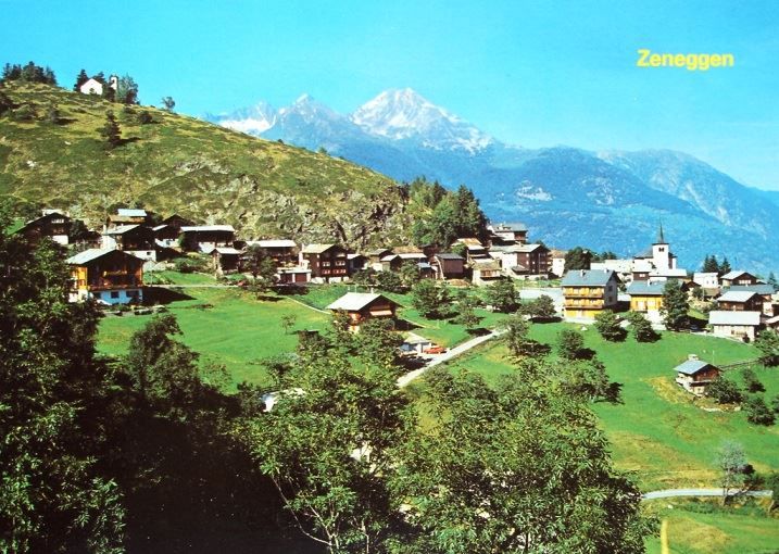 ZENEGGEN Gärsthorn | Kaufen auf Ricardo