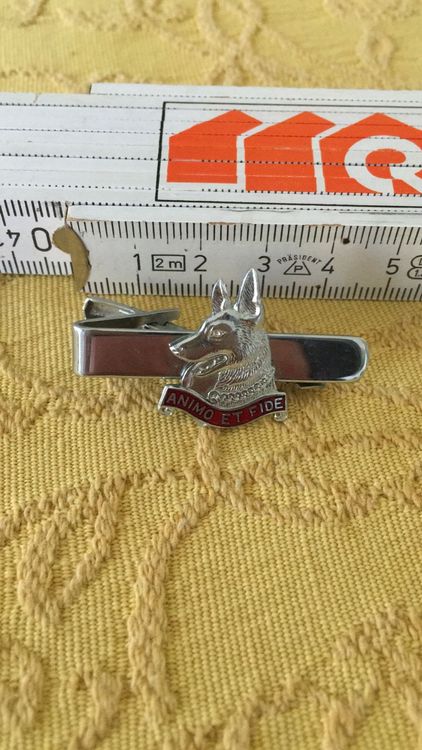 Spilla/fermaglio con cane "Animo et fide" | Kaufen auf Ricardo
