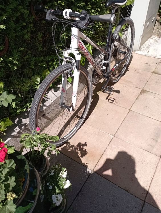 Centurion Cross Line 500 Lady Velo (D'occasion) à Horn pour CHF 100 ...