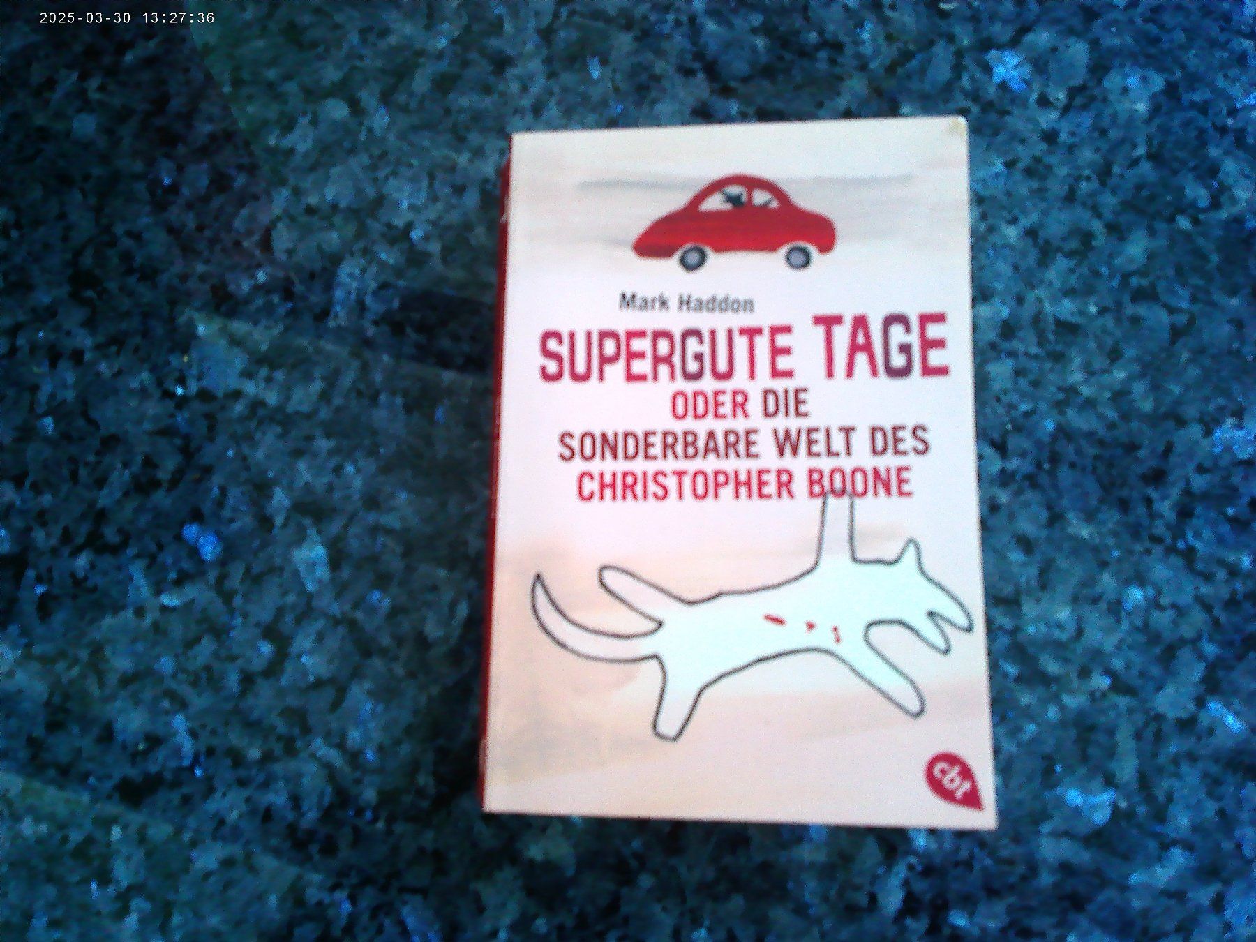 Supergute Tage oder die sonderbare Welt des Christopher Boon (Gebraucht ...