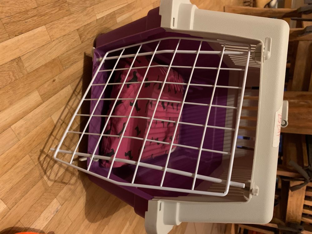 Box de transport petit chien ou chat (Neu (gemäss Beschreibung)) in Le ...