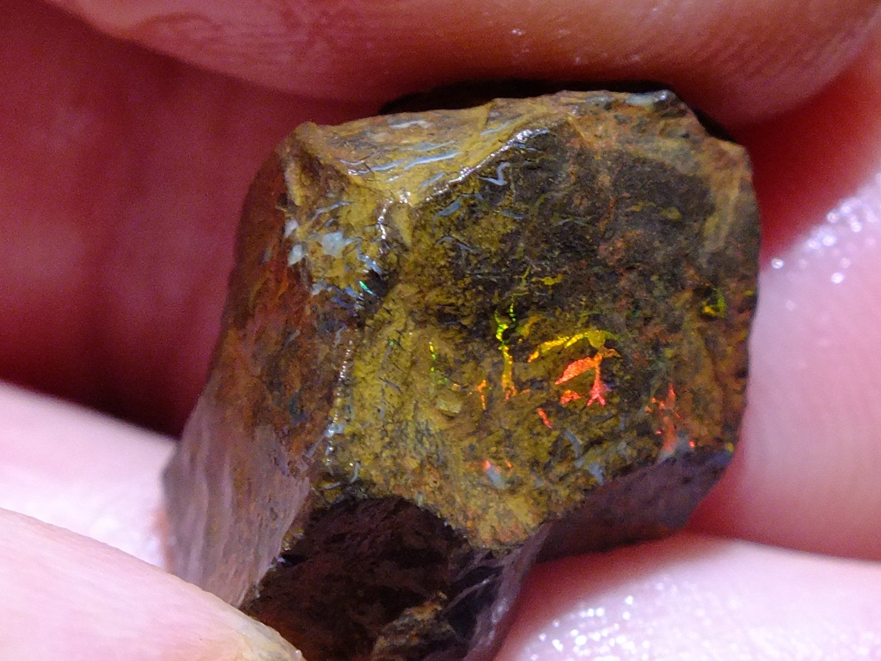 BOULDER ROH OPAL 19 Karat Gebot 1.- Elektrisch Rot feuer (Neu und ...