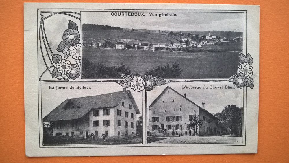 Courtedoux (D'occasion) à Brugg AG pour CHF 16.3 – avec livraison ...