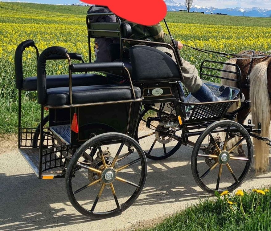 char d'attelage poney shetland (Gebraucht) in Penthaz für CHF 4500 ...