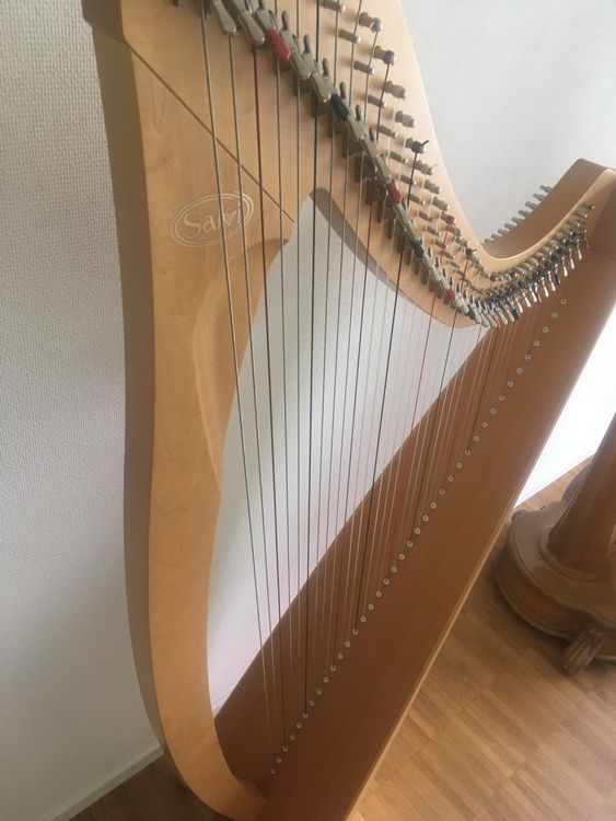 Harfe Salvi Prima 38 (Gebraucht) in für CHF 1500 – nur Abholung auf ...