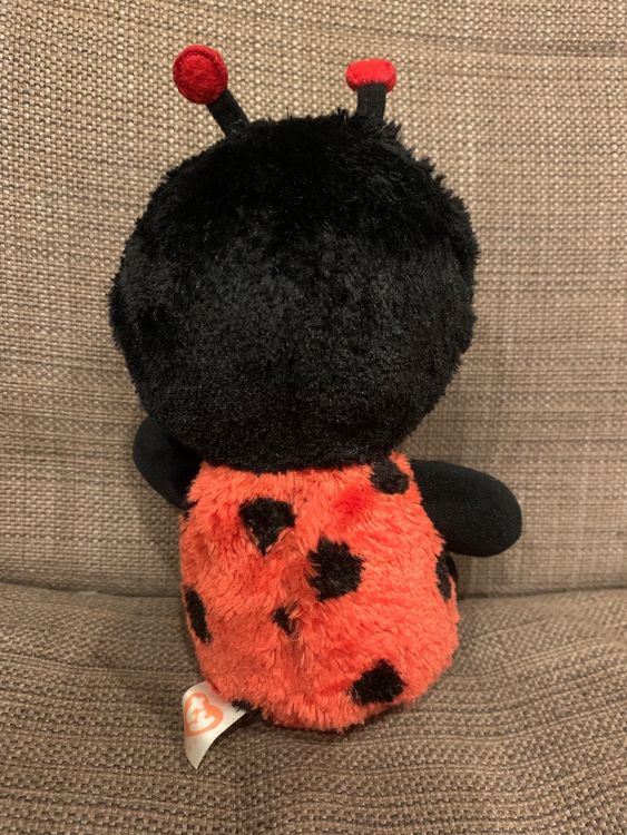TY BEANIE BOO „Marienkäfer Izzy“ mit Glubschaugen (Gebraucht) in ...
