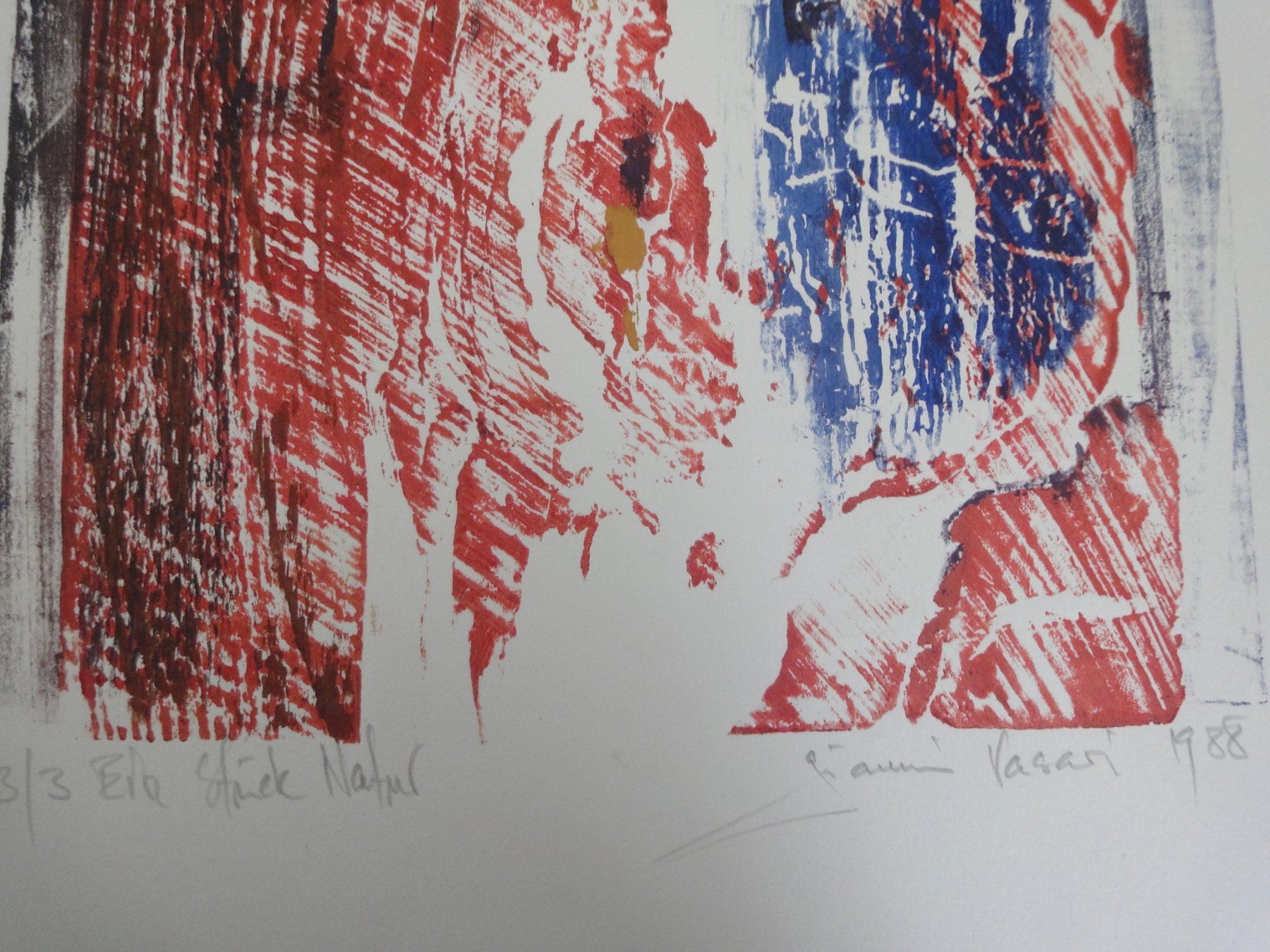 Gianni VASARI, Holzschnitt von 1988 "Ein Stück Natur" (Neu (gemäss Beschreibung)) in Biel/Bienne ...