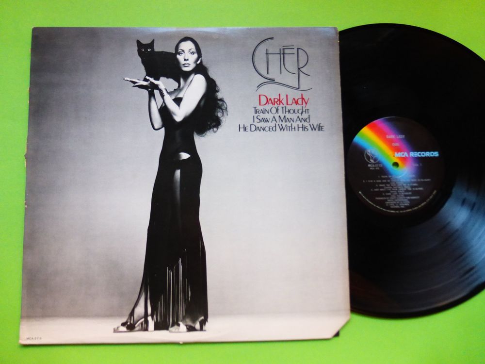 Cher – Dark Lady | Kaufen auf Ricardo