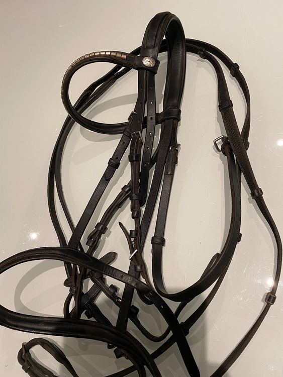 Zaum mit Zügel | Kaufen auf Ricardo