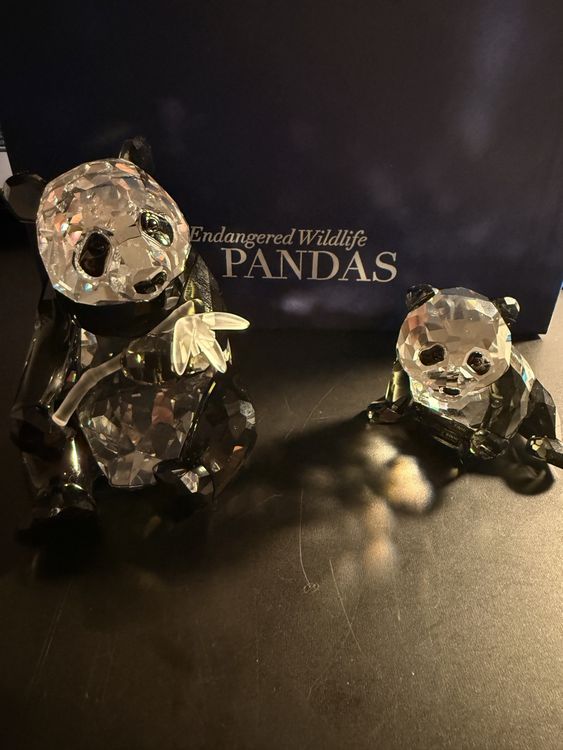 Swarovski SCS Pandas 2008 mit Box & Zertifikat (Neu (gemäss ...