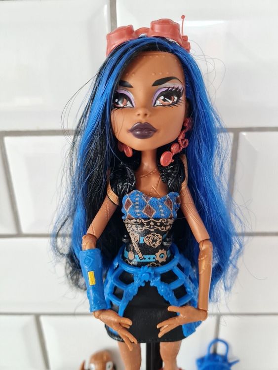 Mattel Monster High Robecca Steam KOMPLETT (Gebraucht) in Bonstetten ...