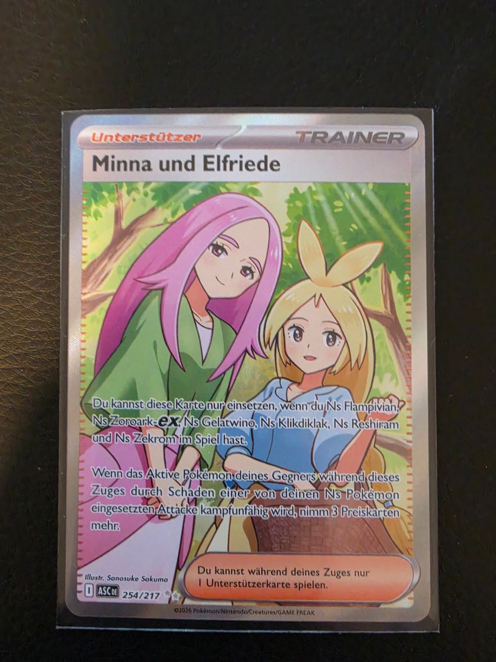 Pokemon Erhabene Helden Minna u. Elfriede 254/217 (Gebraucht) in Widnau ...