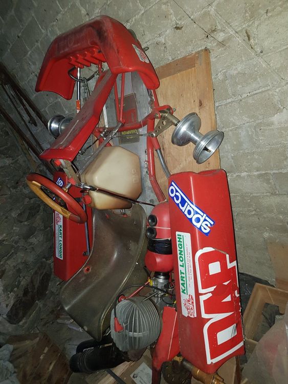 Go kart DAP original 100cc int. (Gebraucht) in Cadro für CHF 400 – nur ...