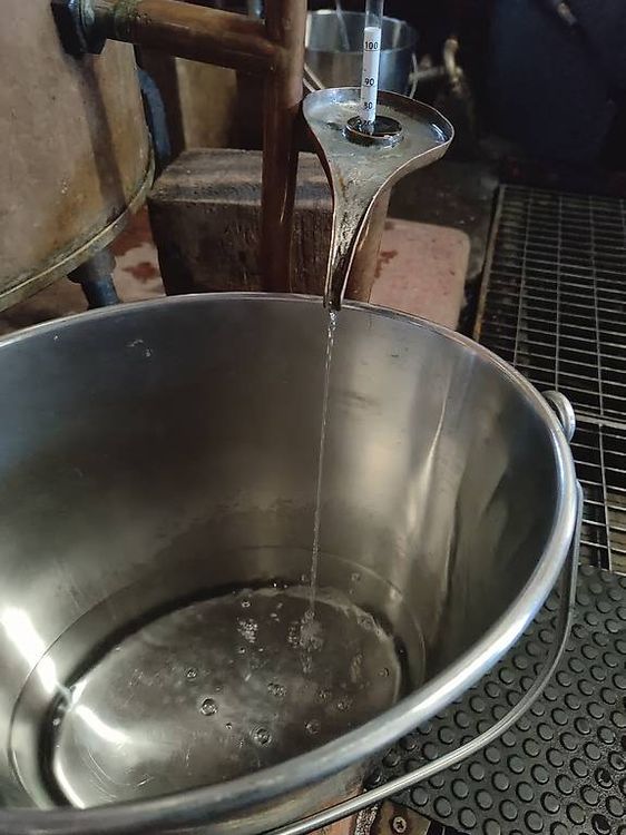 grappa di uva americana (Usato) a Somazzo per CHF 30 – solo ritiro ...