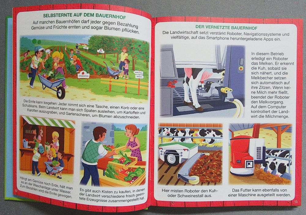 Kinderwissen - Bauernhof - Jahreslauf auf einem Bauernhof (Gebraucht ...