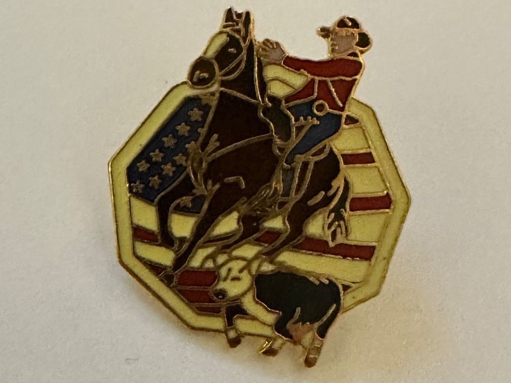 Rodeo Cowboy Pin | Kaufen auf Ricardo