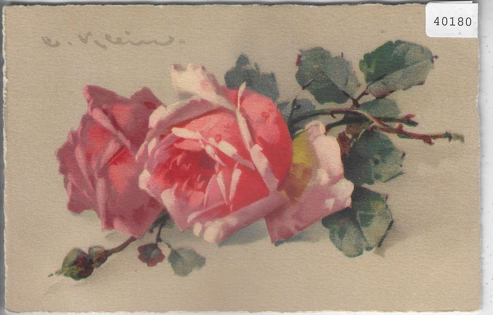 Catharina Klein - Rote Rosen - roses rouges - Litho | Kaufen auf Ricardo
