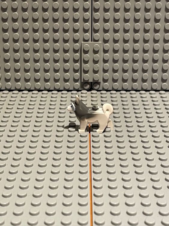 Lego Husky (Gebraucht) in Siglistorf für CHF 1 – mit Lieferung auf ...