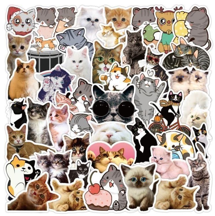 50 tlg Stickerset Stickerbomb Katze Cat (Neu und originalverpackt) in ...