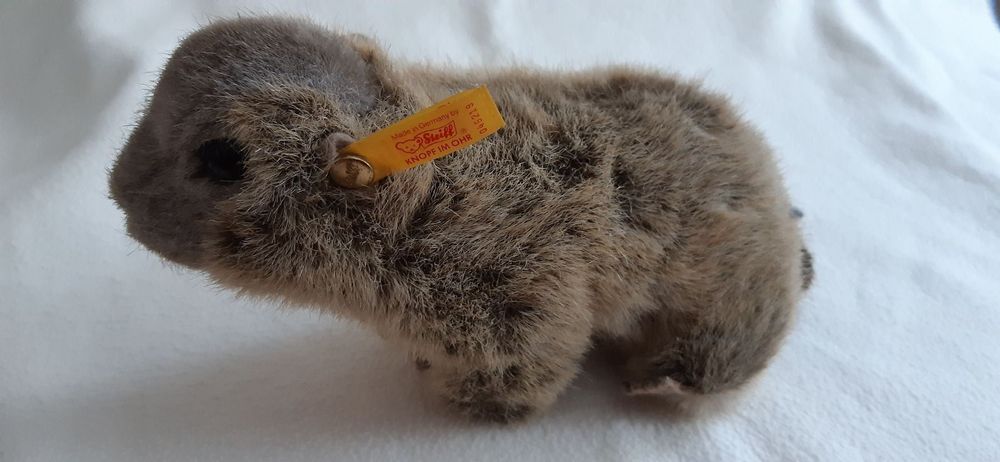 Original Steiff Murmeli marmottes Kult (Neu (gemäss Beschreibung)) in ...