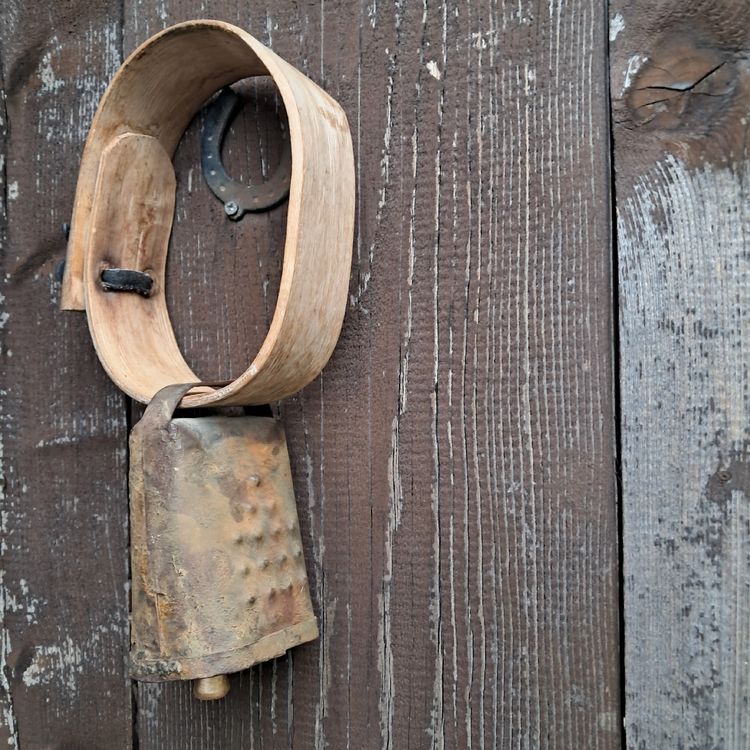 Antike Treichel / Schelle mit Holzband (Gebraucht) in Murten für CHF 24 ...