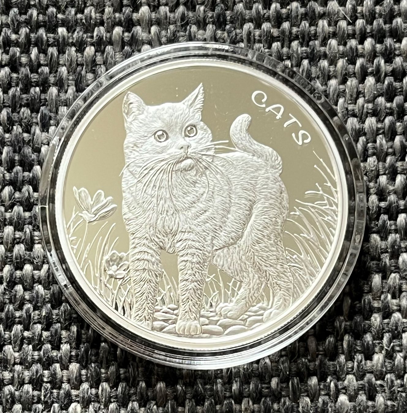 🔝 Fiji Silbermünze 2021, 1 oz Feinsilber, Sammlerstück! (Neu (gemäss ...
