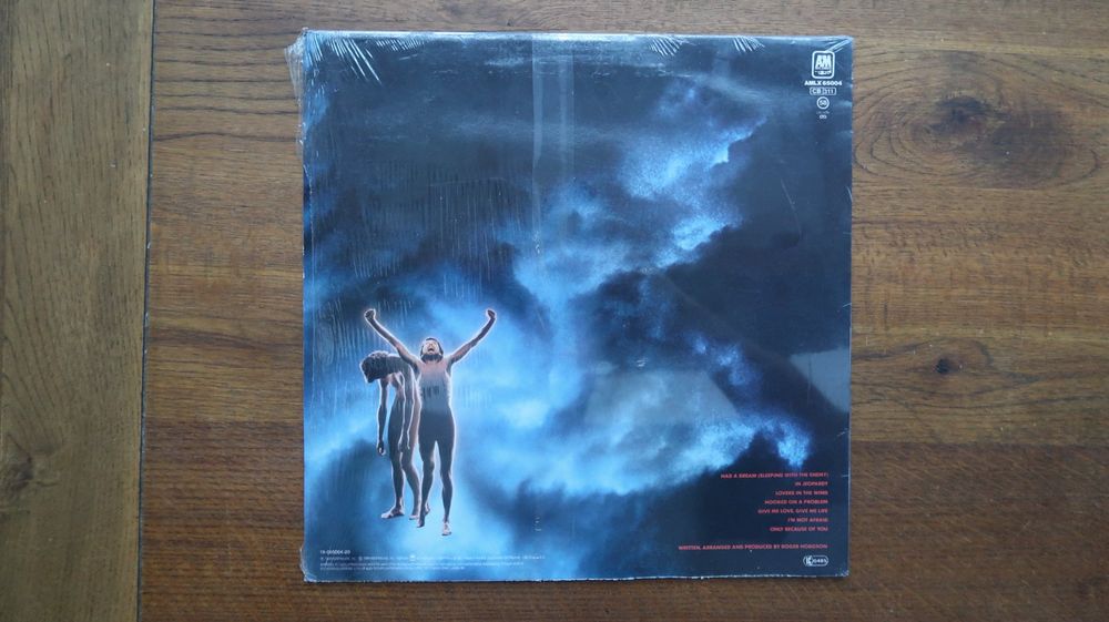 Roger Hodgson - In the Eye of the Storm (Gebraucht) in Rafz für CHF 7 ...